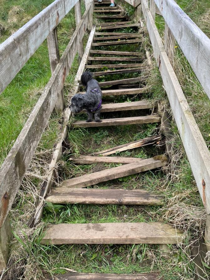 Impaled on a nail - Chronicle highlights the terrible state of stiles ...